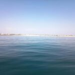 From Aveiro to the Beaches by Boat - Practical Details and Value