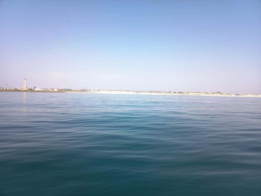 From Aveiro to the Beaches by Boat - Practical Details and Value