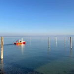 From Basel: 4 Countries and Lake Bodensee Private Car Tour - Why Travelers Love This Tour