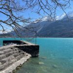 From Basel: Alps, Waterfalls and Lakes Private Car Tour - Value and Practicalities