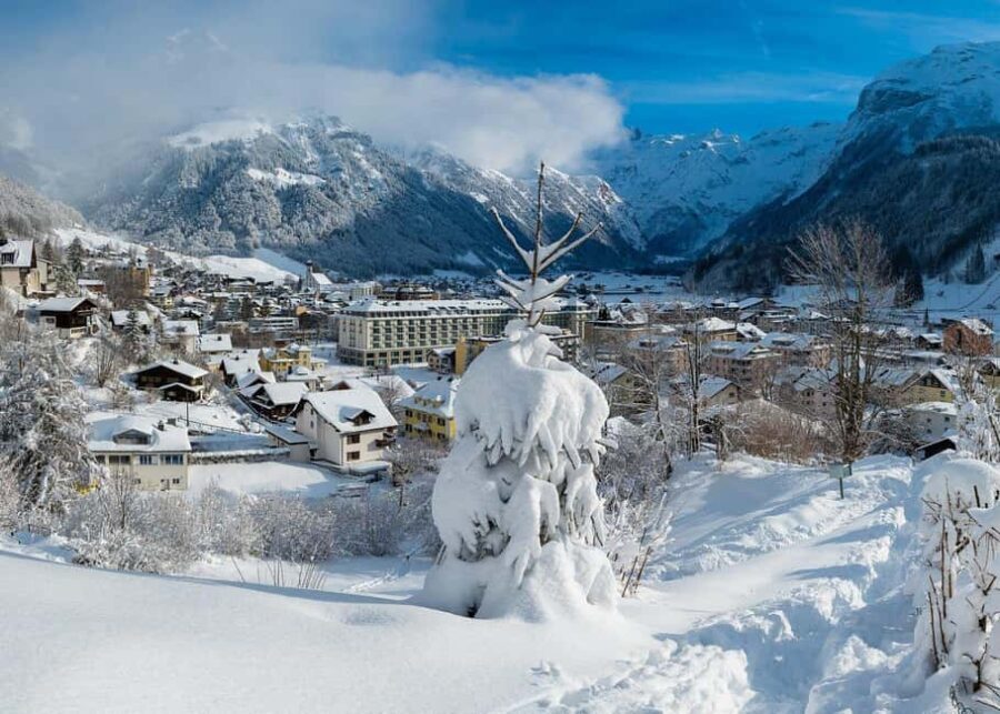 From Basel: Mount Titlis & Lucerne City in Private Day Trip - What’s Included & What You Might Want to Bring