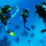 From Bodrum: Scuba Diving in the Aegean Sea - The Experience: What You Can Expect