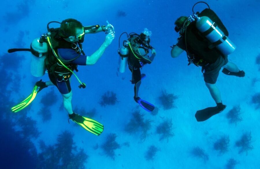 From Bodrum: Scuba Diving in the Aegean Sea - The Experience: What You Can Expect