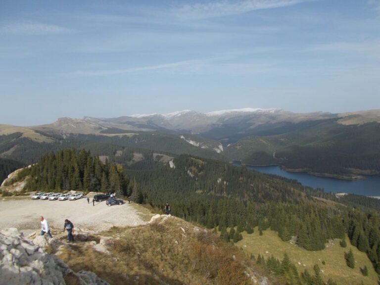 From Braov: Half or Full Day Transylvania Jeep Tour - Practical Details and Value