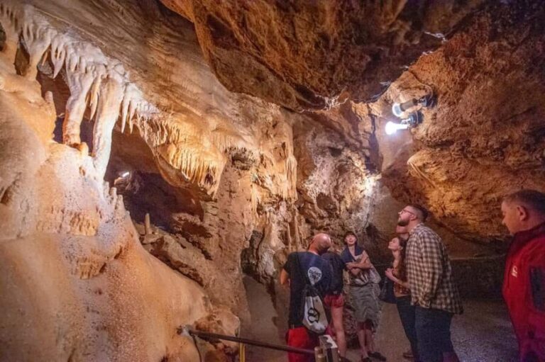 From Bratislava: Castles, Nature & Culture Guided Day Tour - An In-Depth Look at the Tour Experience