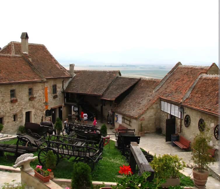 From Bucharest: Bears Sanctuary&Rasnov Fortress Private tour - Practical Details & What You Should Know