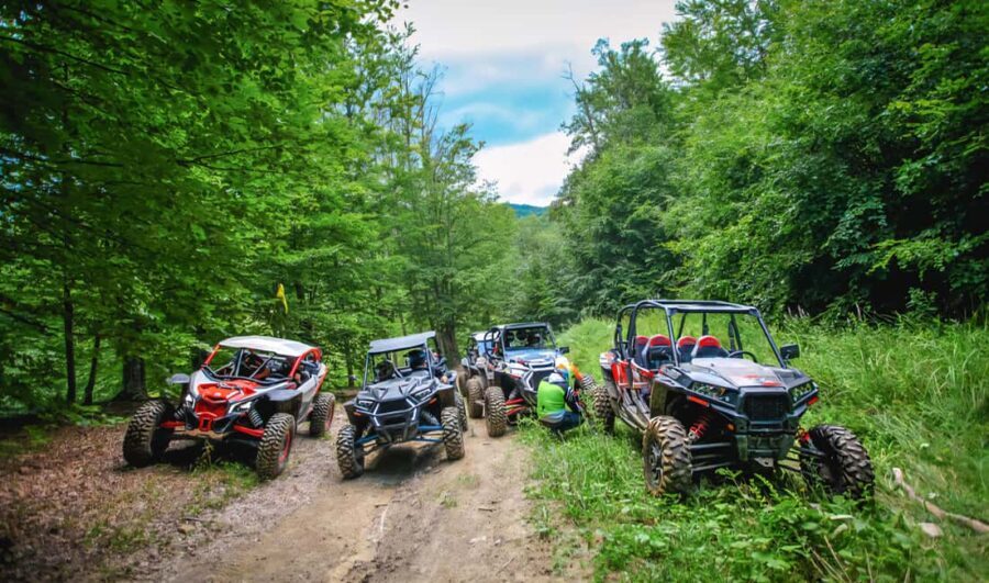 From Bucharest: BUGGY Quad Tour in the Carpathian Mountains - Itinerary Breakdown: What You Can Expect