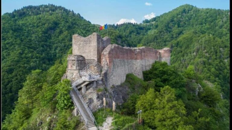 From Bucharest: Fgra Mountains and Bear Watching Tour - Authentic Experiences and What Travelers Say