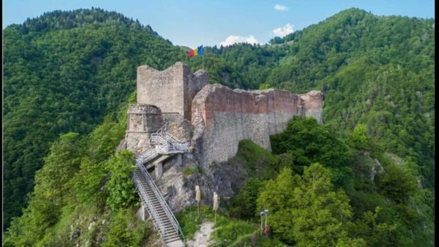 From Bucharest: Fgra Mountains and Bear Watching Tour - Authentic Experiences and What Travelers Say