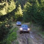 From Bucharest: Off-Road in the Carpathian Mountains - Authentic Feedback & Real-World Insights