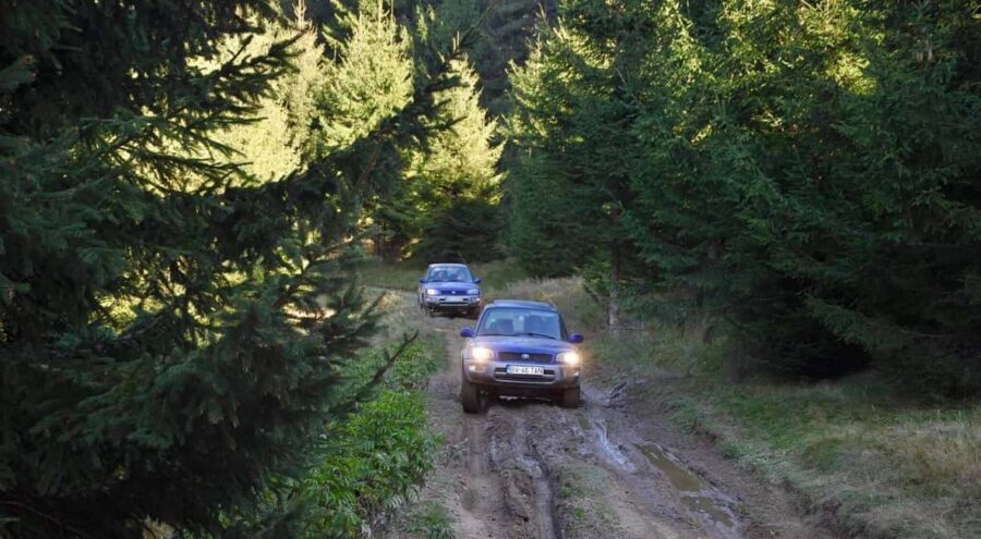 From Bucharest: Off-Road in the Carpathian Mountains - Authentic Feedback & Real-World Insights