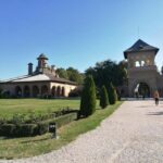 From Bucharest: Snagov Monastery & Mogosoaia Palace day tour - Final Thoughts: Is It Worth It?