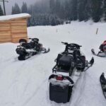 From Bucharest: Snowmobile Tour in the Carpathian Mountains - The Sum Up