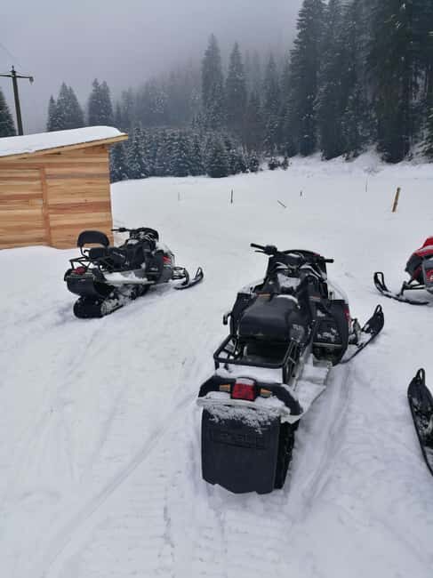 From Bucharest: Snowmobile Tour in the Carpathian Mountains - The Sum Up
