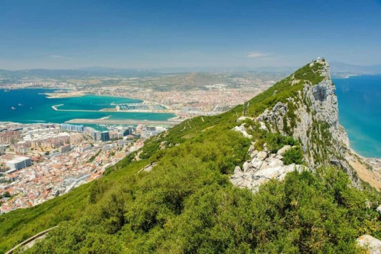 From Cádiz Bay: Gibraltar Dolphin Watching Tour - FAQs