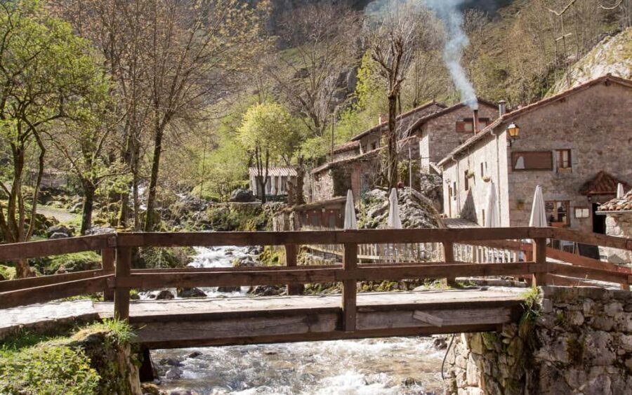 From Cangas de Onís: Lakes of Covadonga and Bulnes by funicular - Who Will Love This Tour?