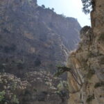 From Chania: Samaria Gorge Hike with Local Mountain Guide - What Makes This Tour Stand Out