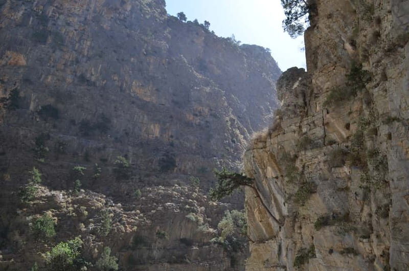 From Chania: Samaria Gorge Hike with Local Mountain Guide - What Makes This Tour Stand Out