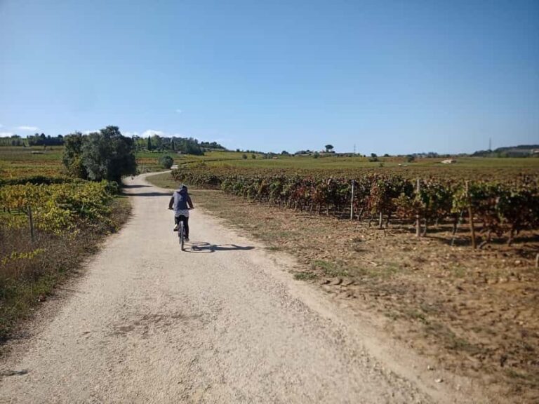 From Coimbra: Cycling in the Vineyards of Bairrada - What’s Included and What to Expect
