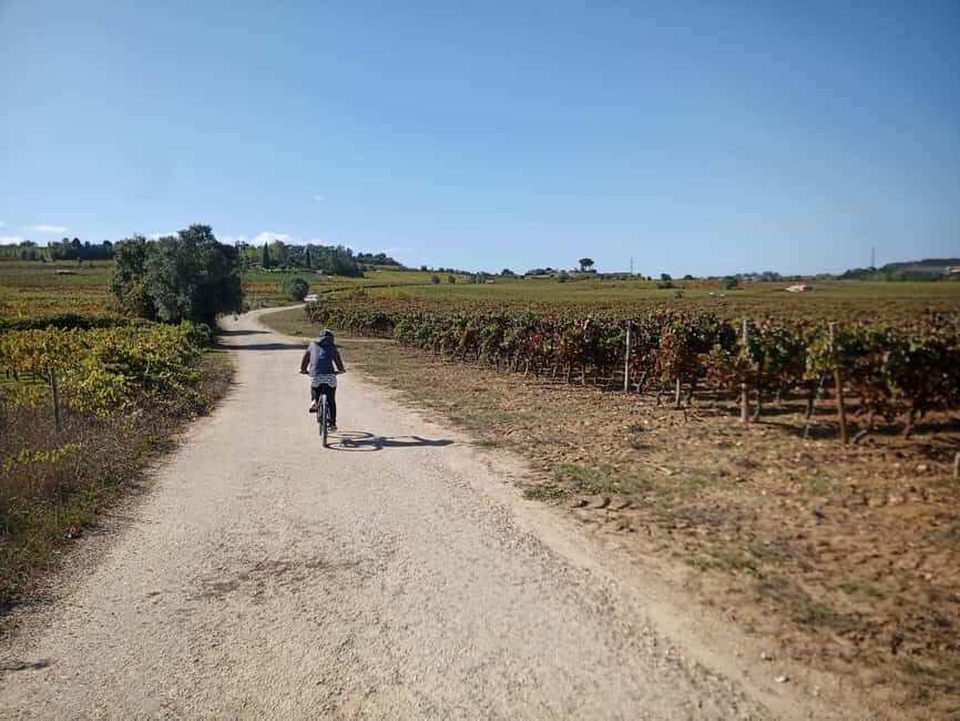 From Coimbra: Cycling in the Vineyards of Bairrada - What’s Included and What to Expect