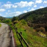 From Coimbra: Cycling on the Vouga Eco-Trail - A Detailed Breakdown of the Vouga Eco-Trail Cycling Experience