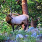 From Denver: Hike the Rockies Tour - Who Will Love This Tour?