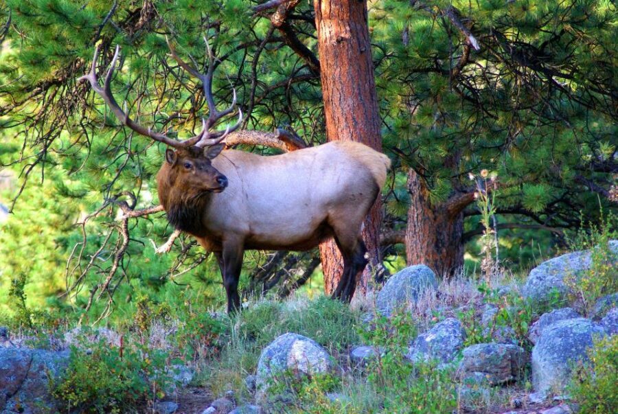 From Denver: Hike the Rockies Tour - Who Will Love This Tour?