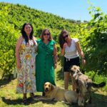 From Durrës/Golem: Vineyards, Wine Food Tasting & Boat Tour - Lake and Vineyard Views