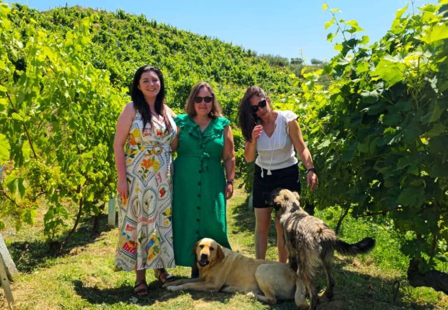 From Durrës/Golem: Vineyards, Wine Food Tasting & Boat Tour - Lake and Vineyard Views
