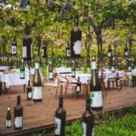 From Durrës: Wine Tasting at Alpeta Winery in Berat - Detailed Breakdown of the Tour