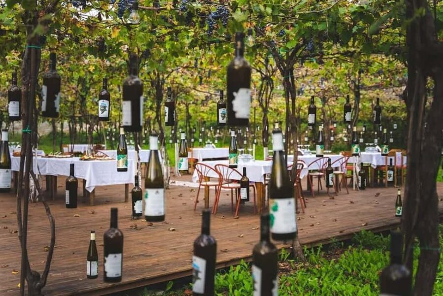 From Durrës: Wine Tasting at Alpeta Winery in Berat - Detailed Breakdown of the Tour