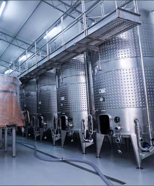 From Durres: Wine Tasting in Duka Winery - The Tasting Experience