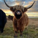 From Edinburgh: The Kelpies, Glencoe & Loch Lomond Day Tour - Why This Tour Delivers More Than Just Sightseeing