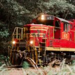 From Fort Bragg: Redwoods Train Ride and Nightclub Ticket - The Redwoods and the Glen Blair Bar