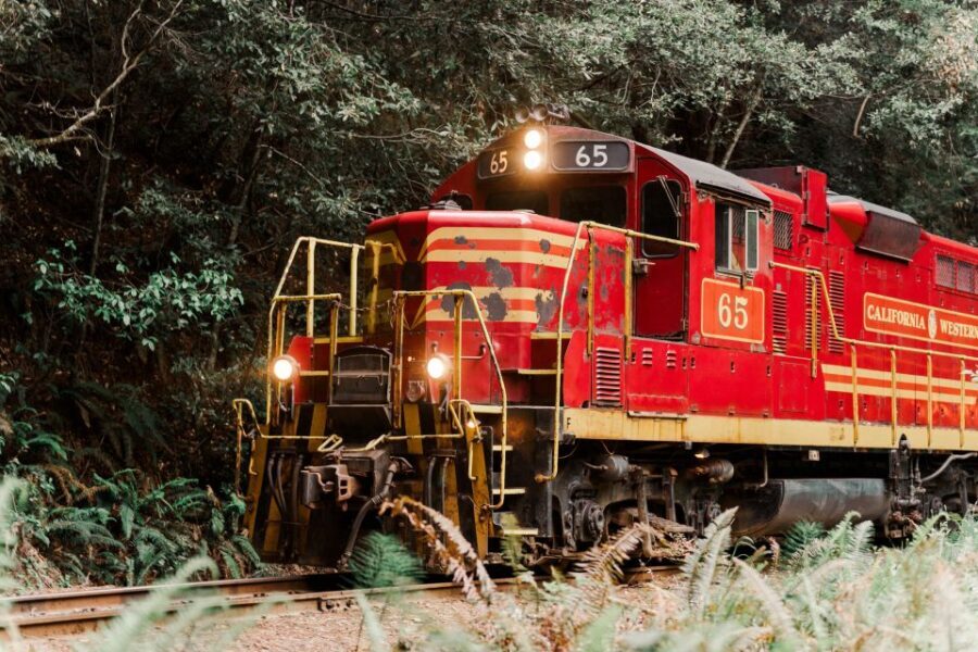 From Fort Bragg: Redwoods Train Ride and Nightclub Ticket - The Redwoods and the Glen Blair Bar