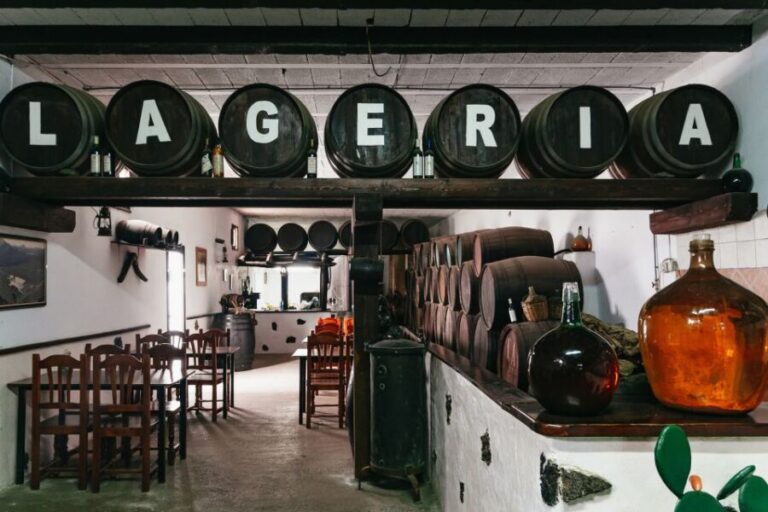 From Fuerteventura: Lanzarote Tour (lunch, winery and more) - What Makes This Tour Stand Out?