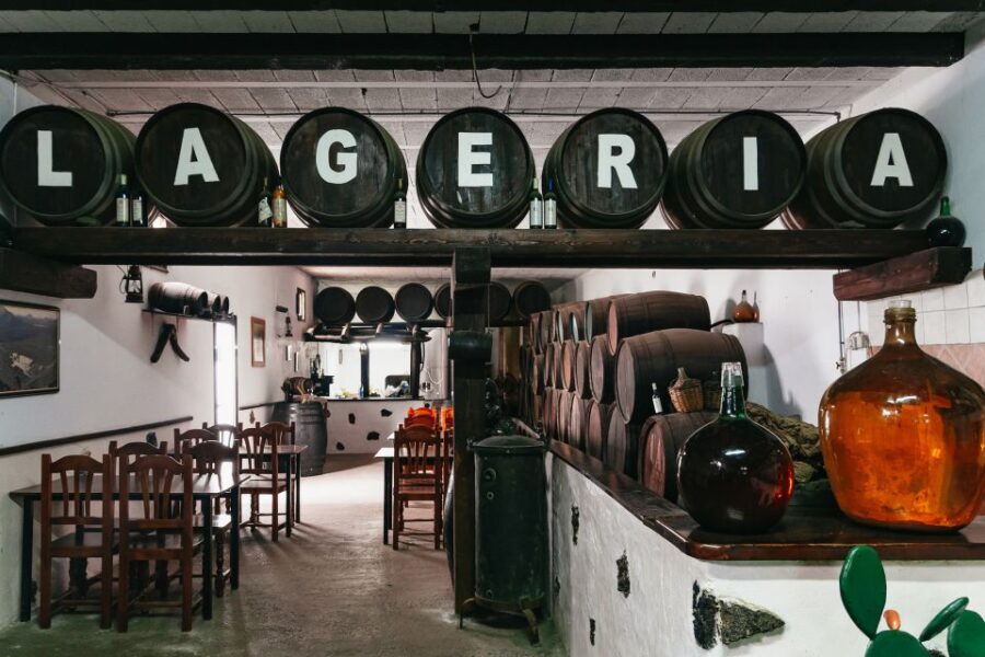From Fuerteventura: Lanzarote Tour (lunch, winery and more) - What Makes This Tour Stand Out?