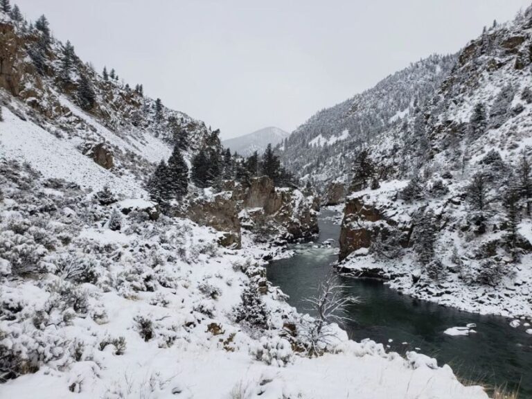 From Gardiner: Guided Yellowstone Cross-Country Skiing Tour - What to Expect from the Tour