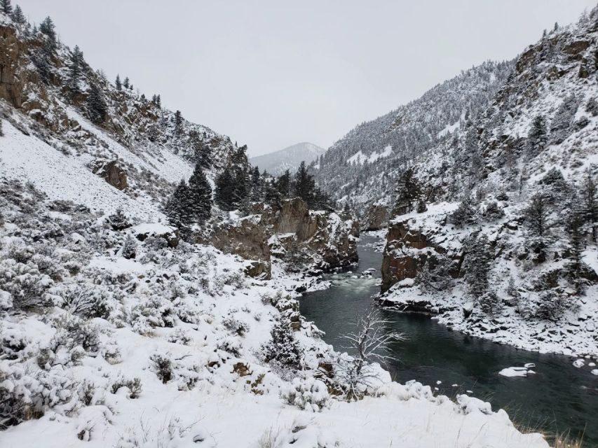 From Gardiner: Guided Yellowstone Cross-Country Skiing Tour - What to Expect from the Tour