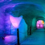 From Geneva: Chamonix Mont-Blanc Private Guided Tour - Who Should Consider This Tour?