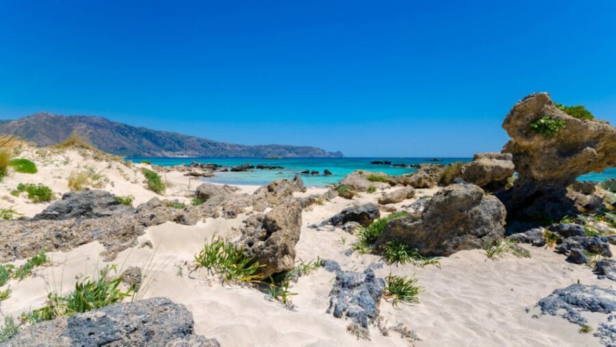 From Heraklion: Guided Trip to Elafonisi Beach with PickUp - Authentic Encounters and Real Reviews