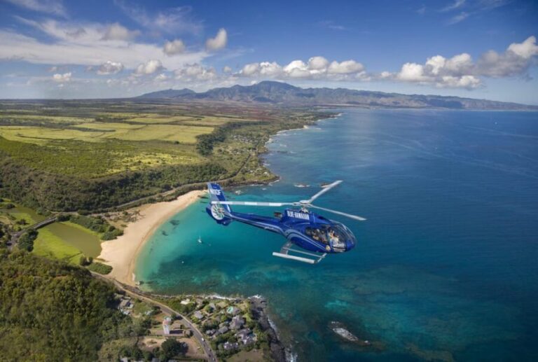 From Honolulu: Complete Oahu Island Helicopter Tour - Why This Tour Works Well for Different Travelers