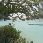From Hvar: Pakleni Islands Private Boat Tour - Who Should Consider This Tour?