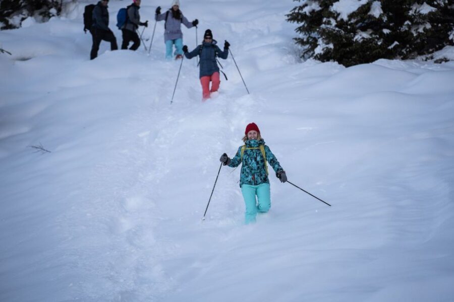 From Interlaken: Wetterhorn Trail Snowshoe Hiking Tour - The Value of the Wetterhorn Snowshoe Tour