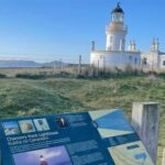 From Inverness: Black Isle Tour with Dolphin Spotting - Practical Details and Value