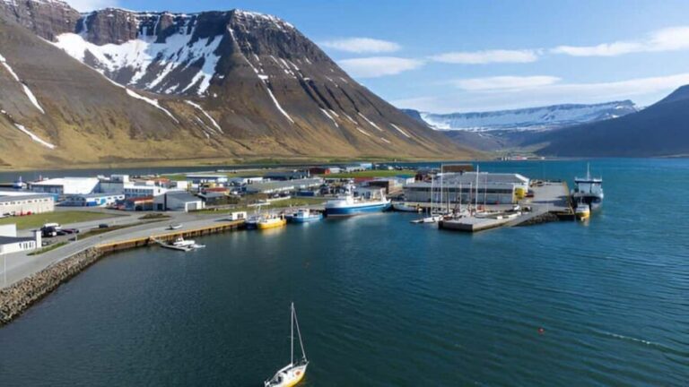 From Isafjordur: Private Dynjandi Waterfall & Farm Tour - An In-Depth Look at the Tour Experience