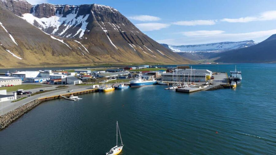 From Isafjordur: Private Dynjandi Waterfall & Farm Tour - An In-Depth Look at the Tour Experience