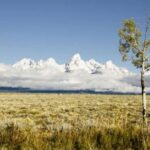 From Jackson: Grand Teton Wildlife & Scenery Tour with Lunch - Wildlife Viewing: The Main Event