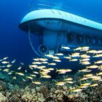 From Kona: Big Island Underwater Submarine Adventure - What Travelers Can Expect from the Experience