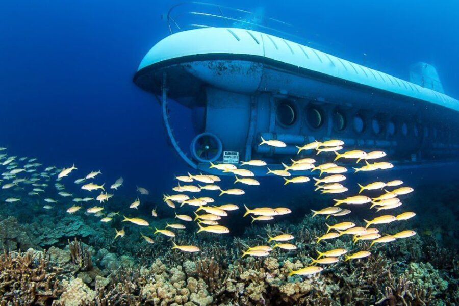 From Kona: Big Island Underwater Submarine Adventure - What Travelers Can Expect from the Experience